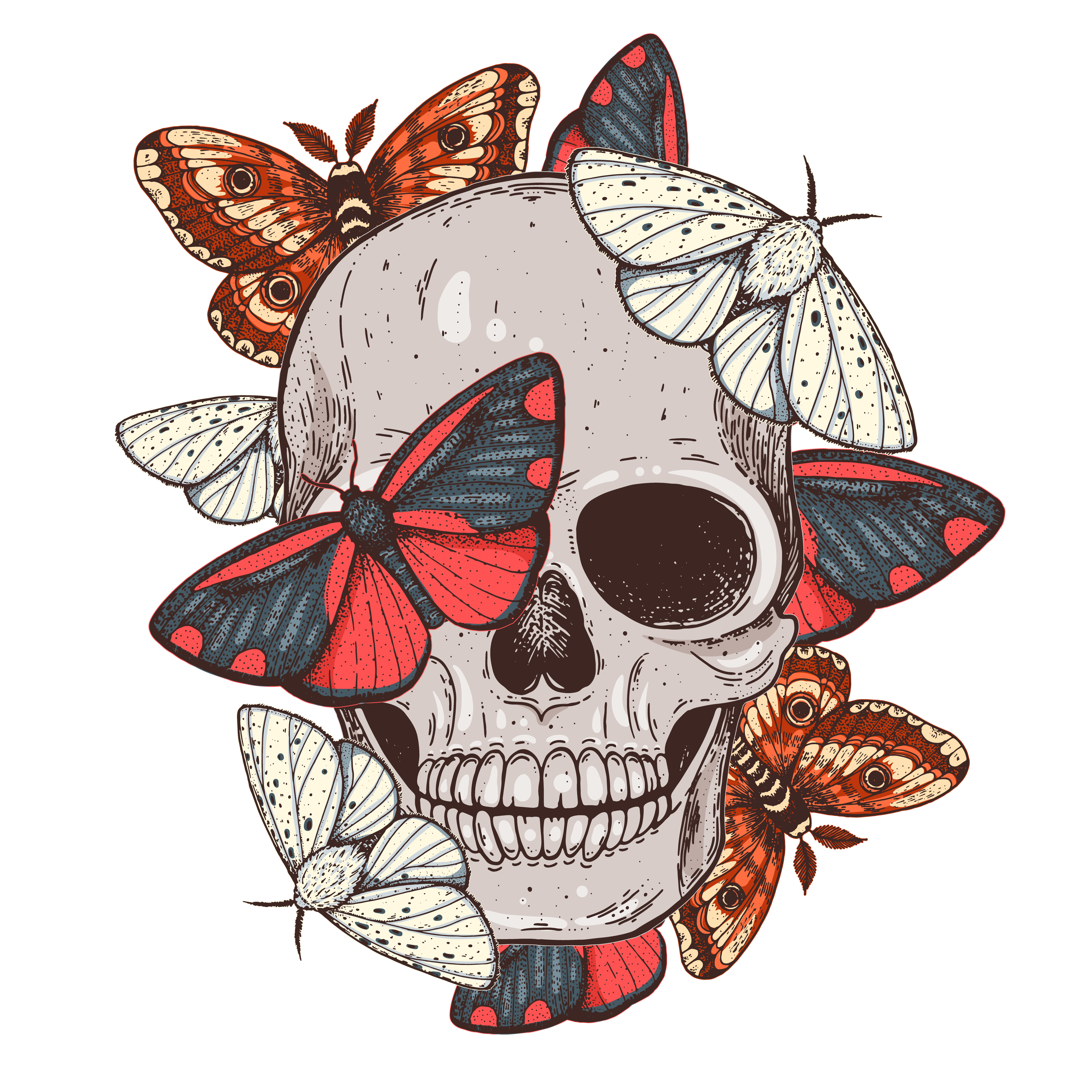 Happy Larry Skull And Butterflies Illustration | Wayfair.co.uk