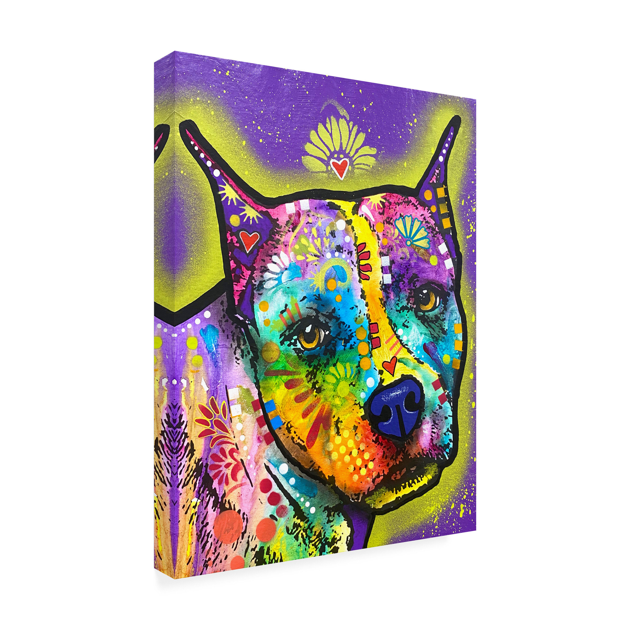 Winston Porter Dean Russo I Got That Sparkly Soul Canvas Art - Wayfair ...