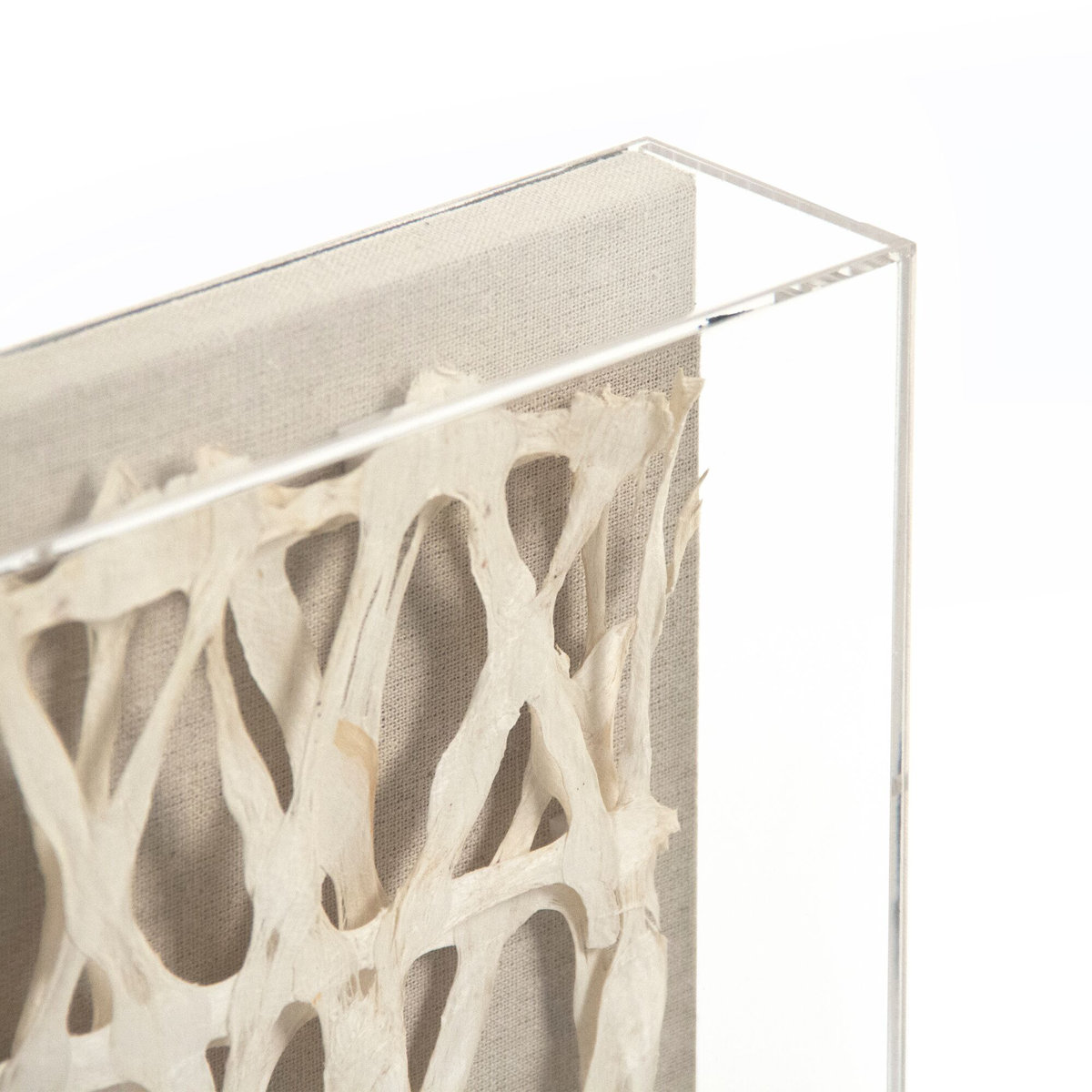 Zentique Paper Framed Art Wall Decor | Perigold