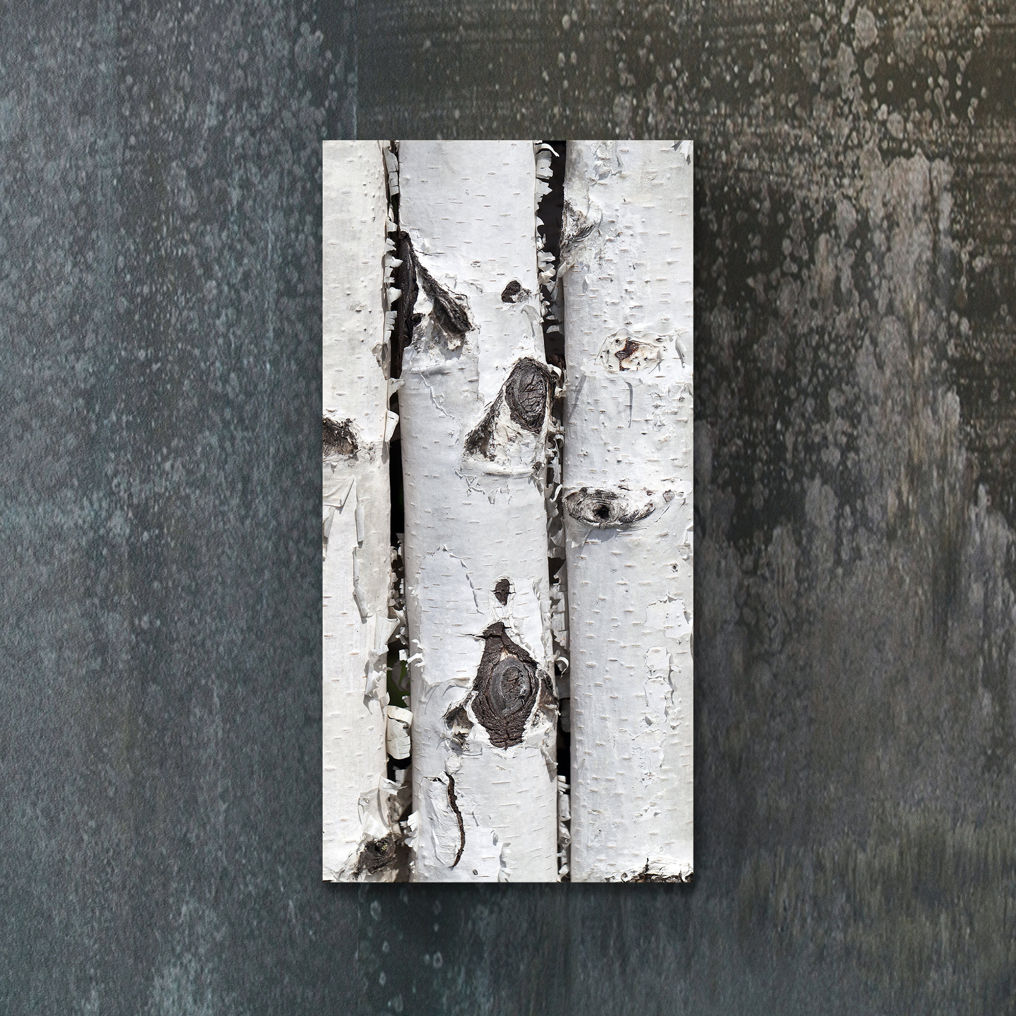 Heat Storm 750 Watt 24x48 in Radiant Wall Mounted Glass Heater ON/OFF ...