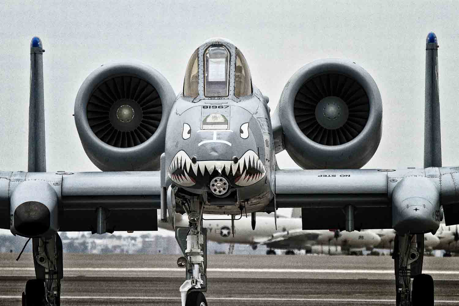 Red Barrel Studio 'A-10 Warthog Nose' Acrylic Painting Print on Canvas ...
