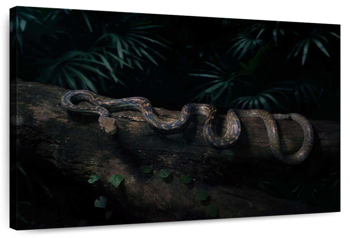 Ebern Designs Brampt Australian Scrub Python | Wayfair