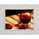 Ebern Designs Brandy Delight - Single Picture Frame Print on Canvas ...