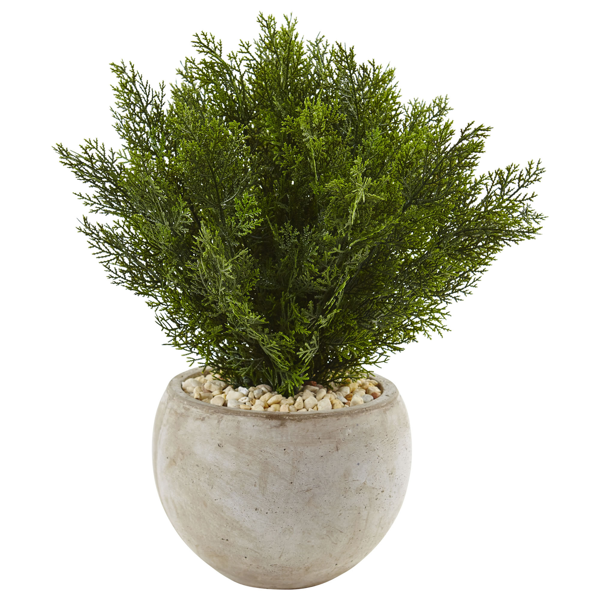 Orren Ellis 24" Artificial Cedar Plant in Planter | Wayfair