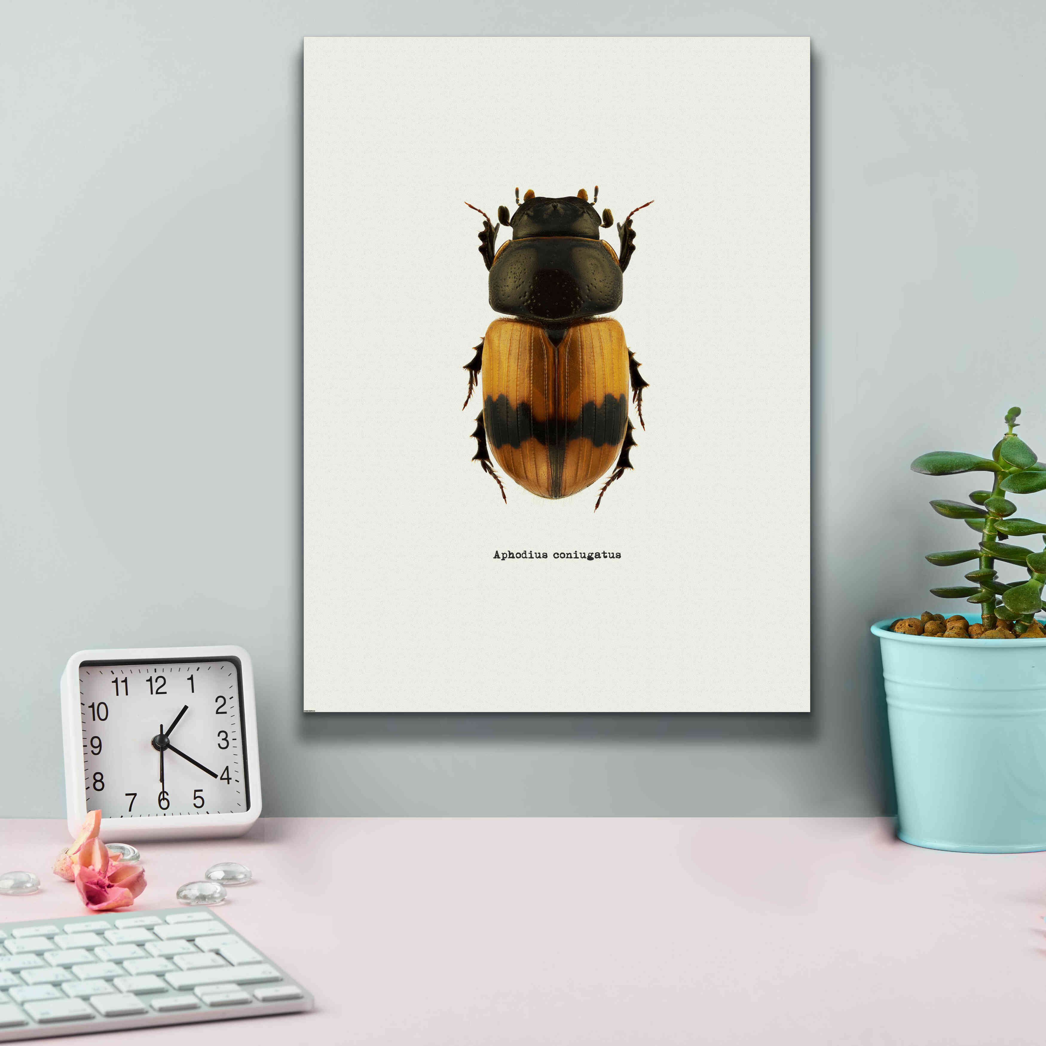 Gracie Oaks Beetle Orange by Graphinc - Wrapped Canvas Print - Wayfair ...