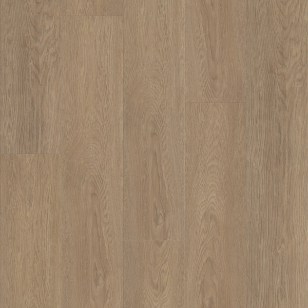 Shaw Floors Shaw Robin 9-in W x 60-in L x 6.5-mm Luxury Vinyl Plank ...