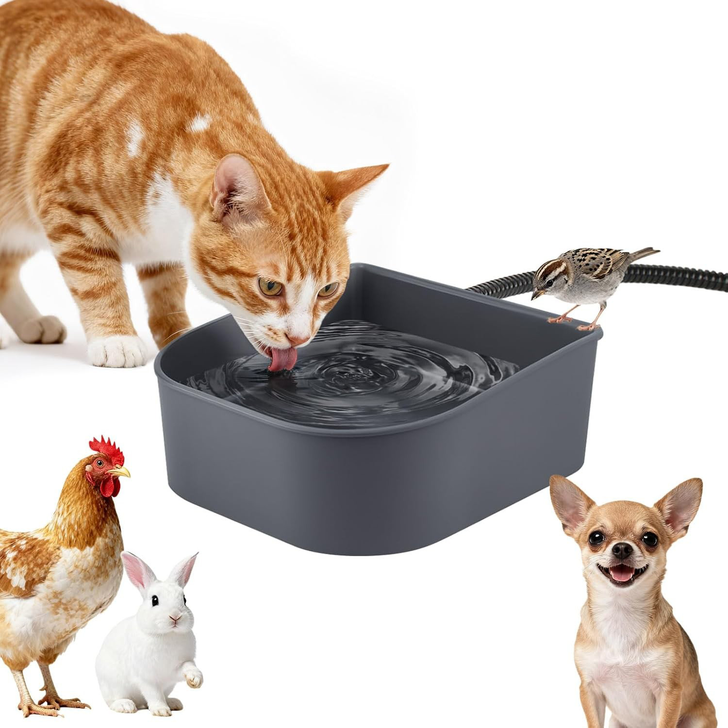 HIBAMSTOR Heated Water Bowl For Indoor Pet, Hanging Dog Water Bowl For ...