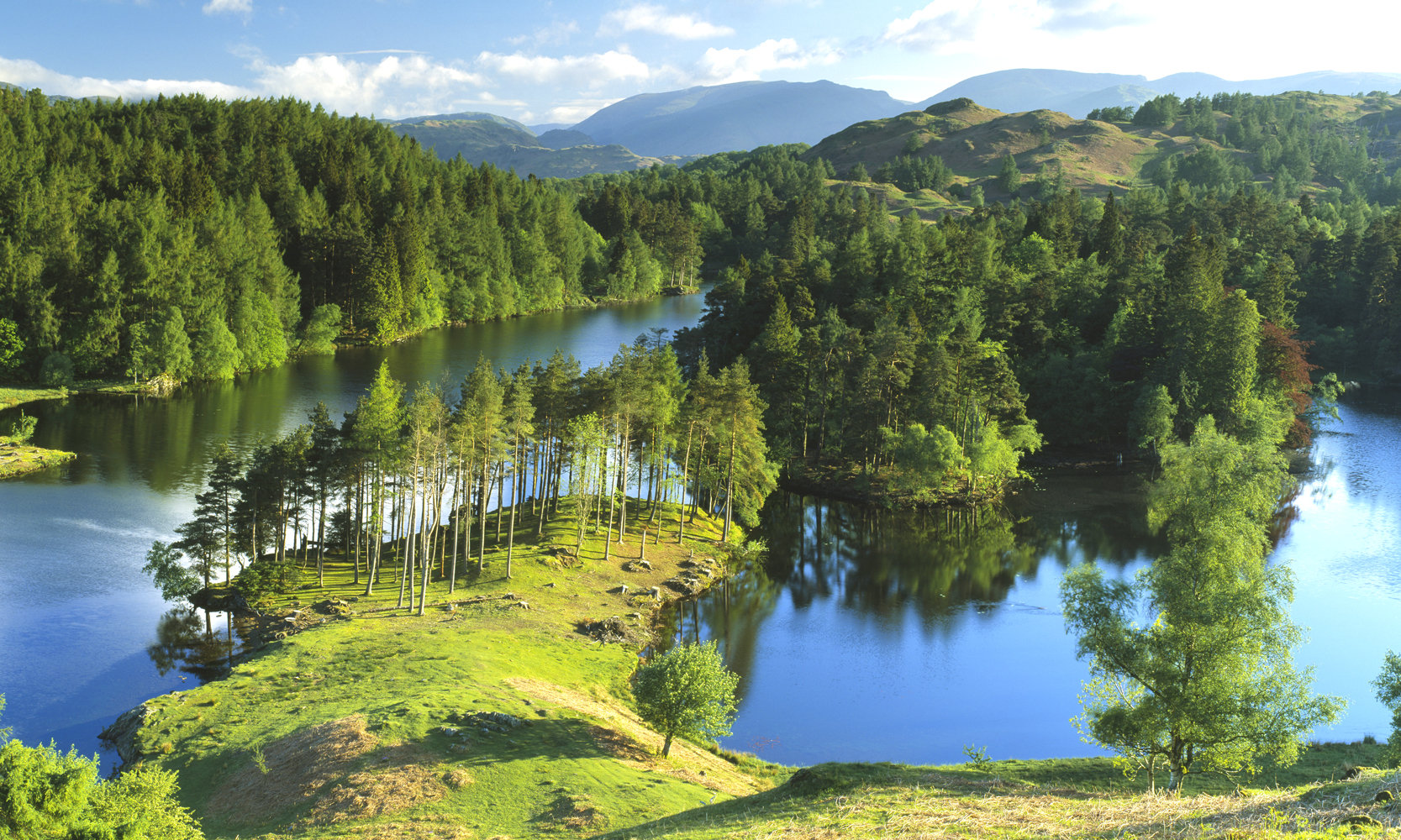 Millwood Pines Peninsula Window Decal | Wayfair