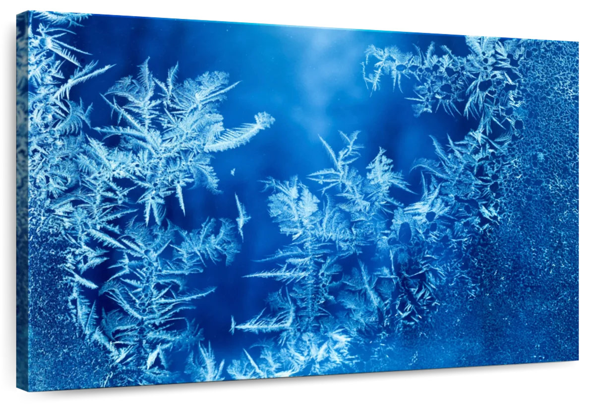 Millwood Pines Alvord Winter Frost Forms | Wayfair