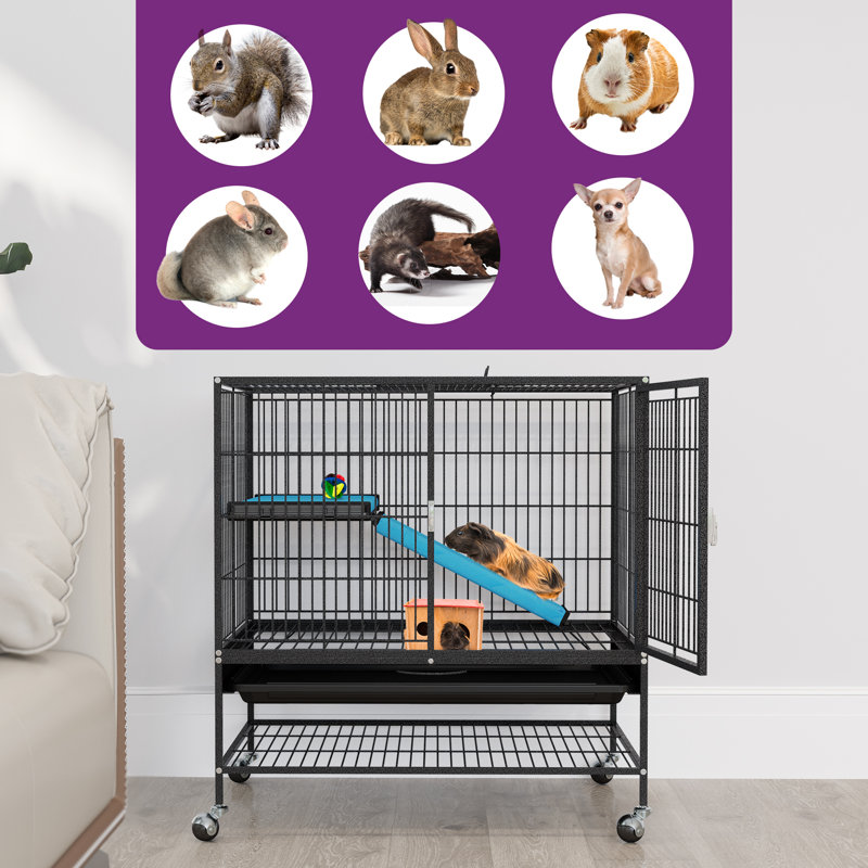 Tucker Murphy Pet™ Crislynn Small Animal Cage with Ramp & Reviews | Wayfair