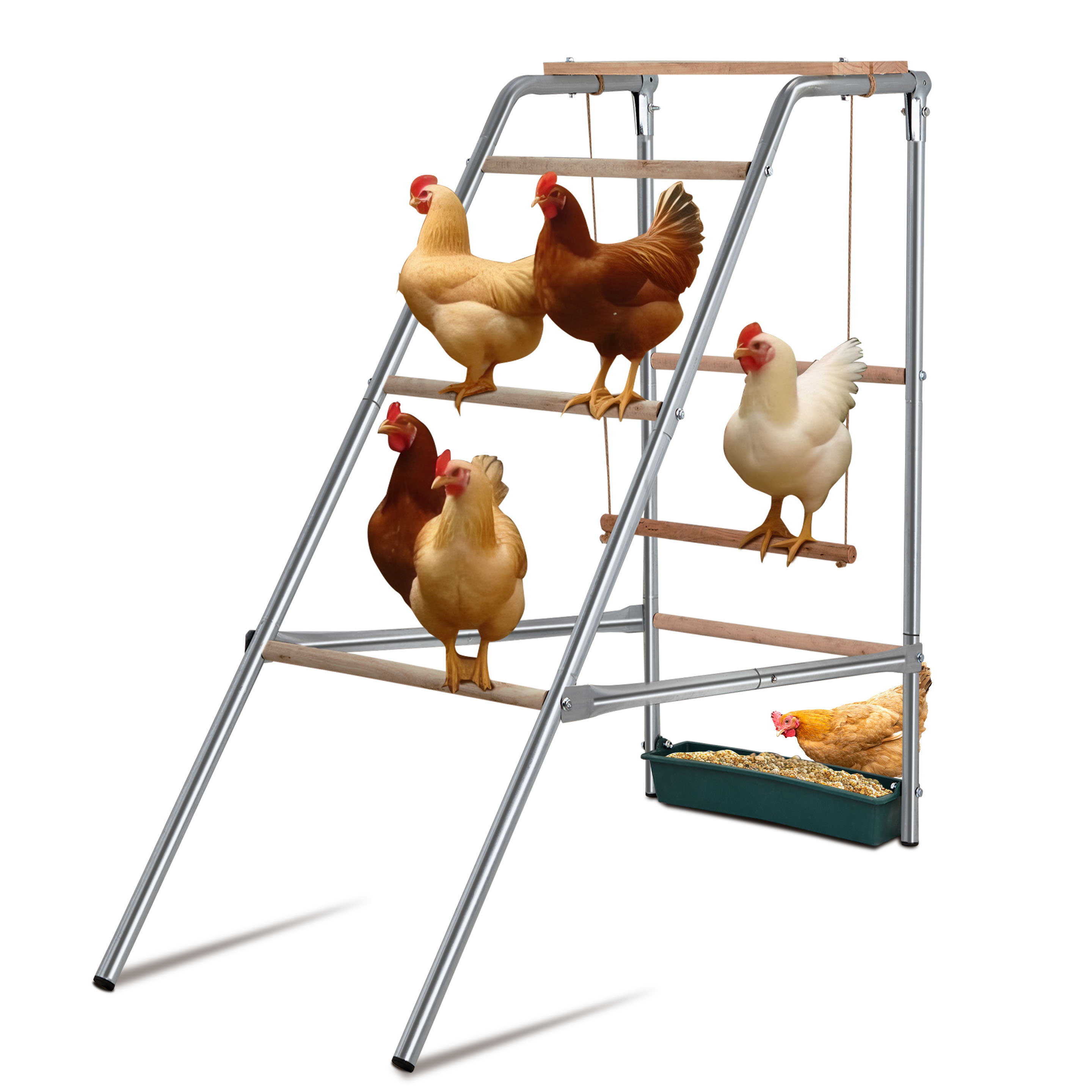 Tucker Murphy Pet™ Chicken Perch Ladder For Coops With Swing & Reviews ...