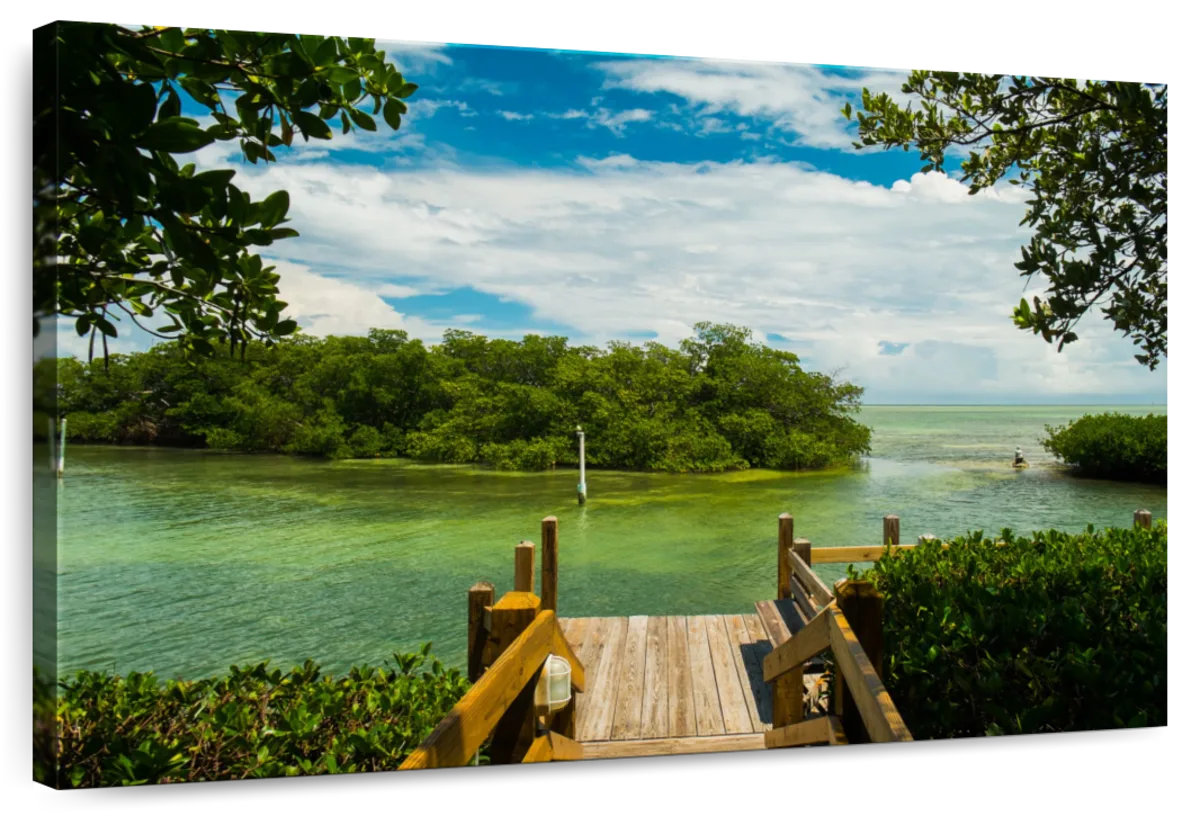 Beachcrest Home Gillard Florida Keys Mangrove Trees - Wayfair Canada
