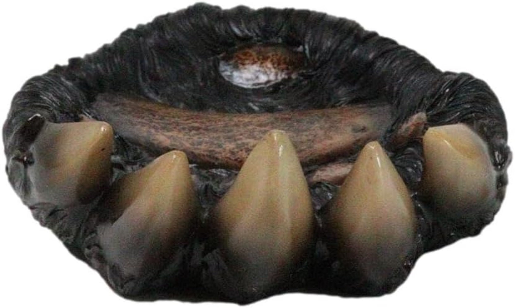 Trinx Rustic Western Long Claws Bear Paw Jewelry Trinket Keys Tray Dish ...