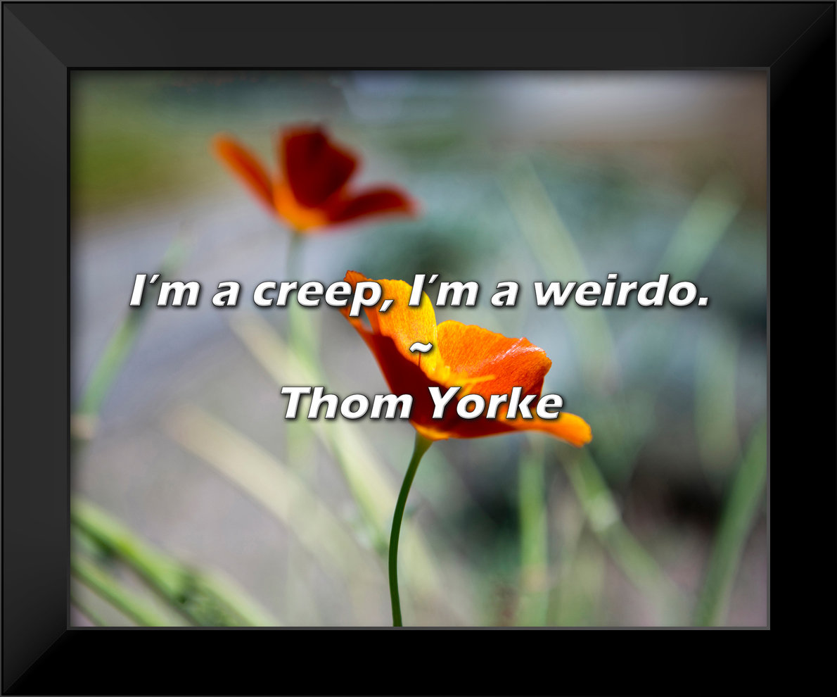 Latitude Run® Thom Yorke Quote: I’m a creep, I’m a weirdo. | Wayfair