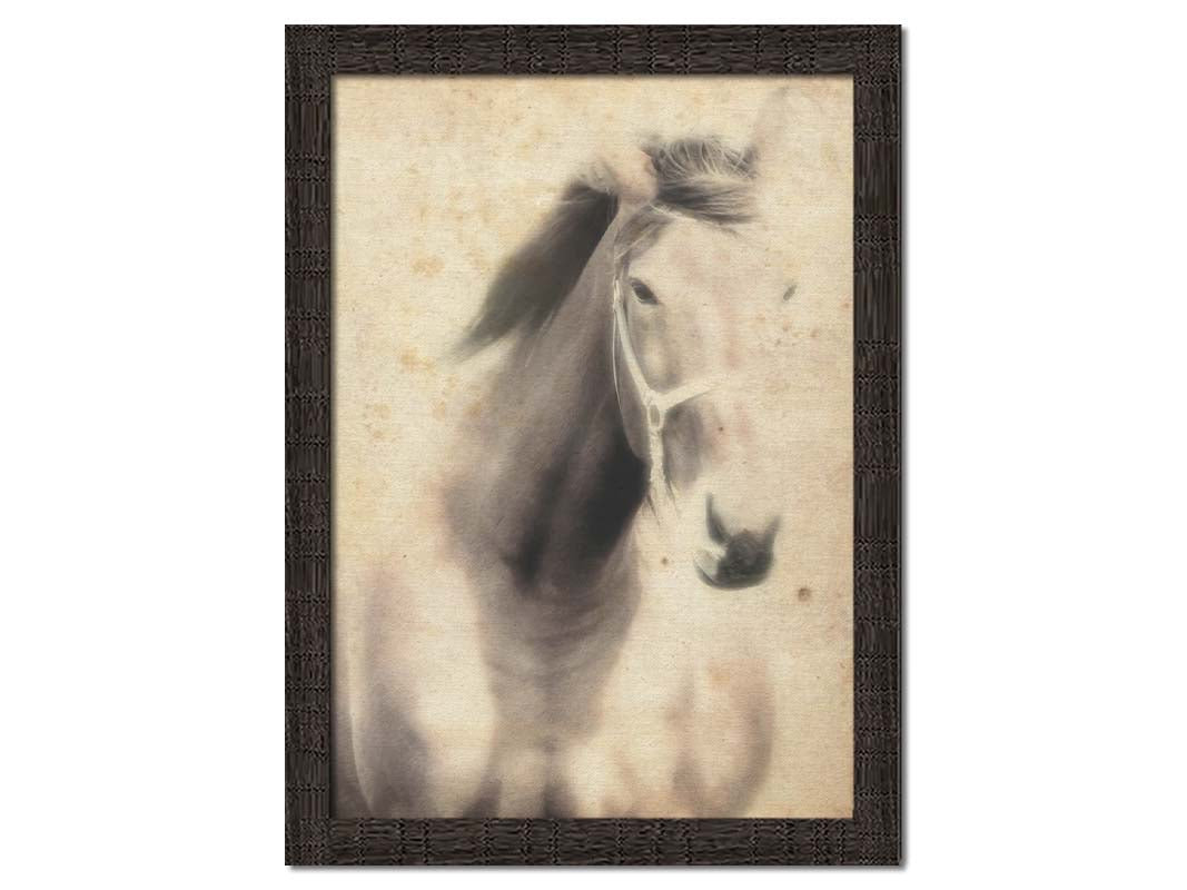 One Allium Way® Stallion Horse by Hal Halli. Paper Print - Mounted ...