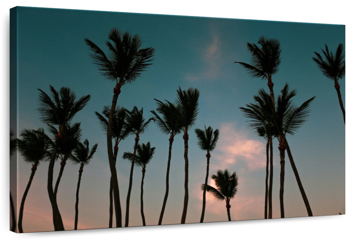 Lark Manor™ Harnek Dancing Palm Trees At Sunset | Wayfair