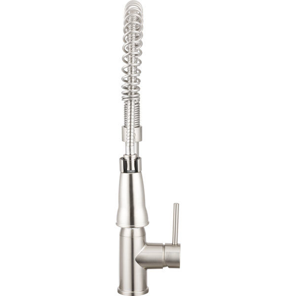 Pacific Bay Rainier Pull Down Kitchen Faucet & Reviews | Wayfair