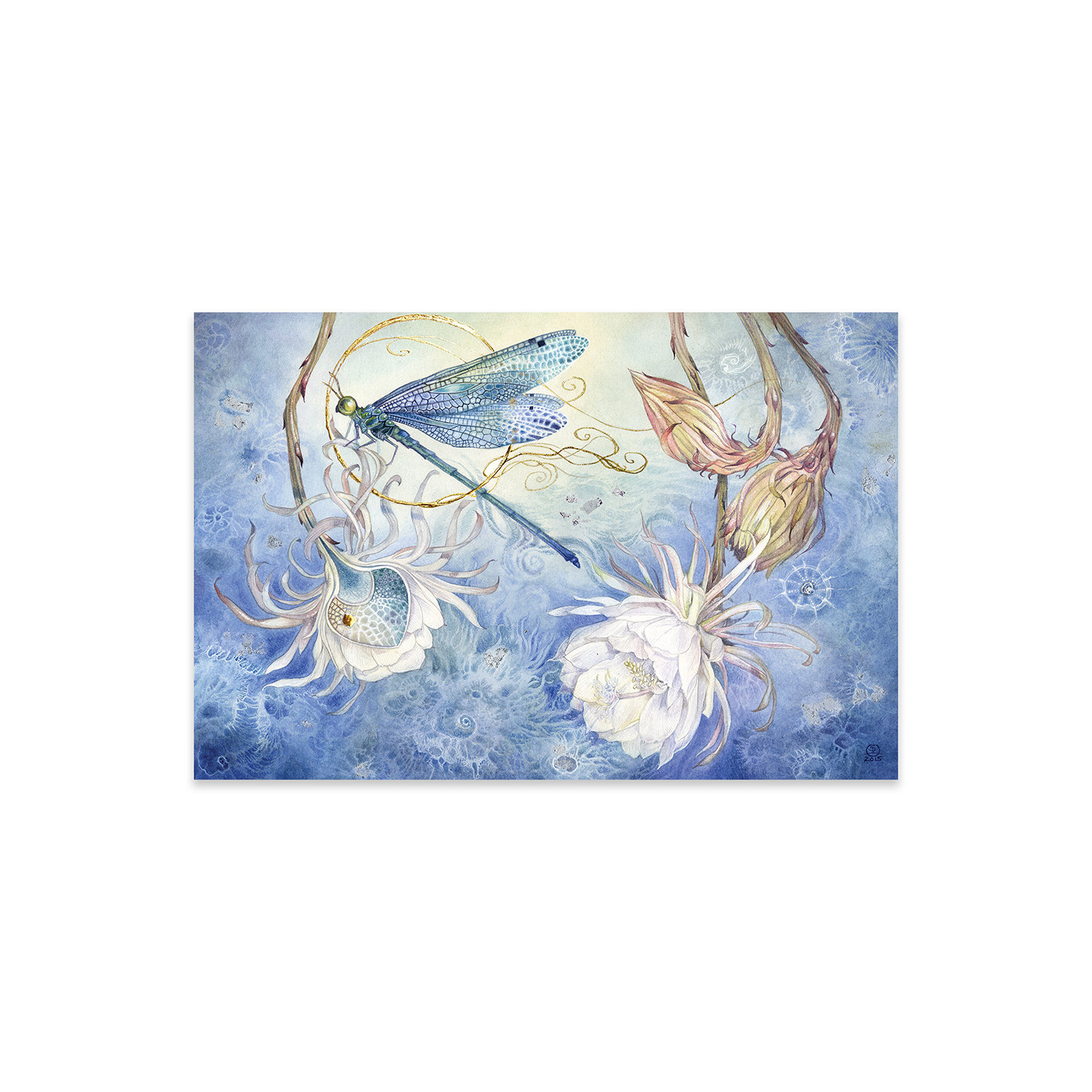 Red Barrel Studio® Damsel Fly III On Plastic / Acrylic by Stephanie Law ...