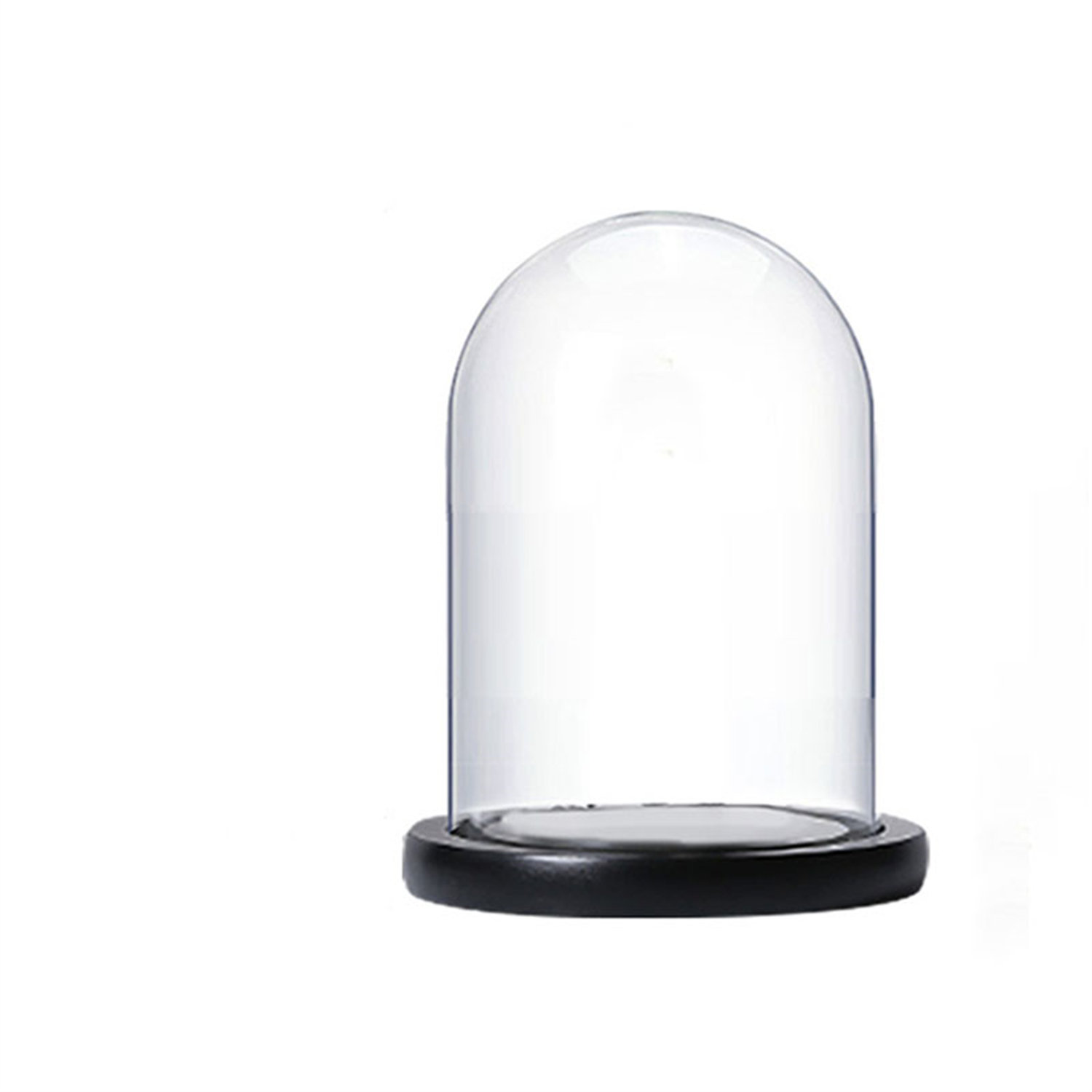 Ivy Bronx Amarina Glass Decorative Box | Wayfair