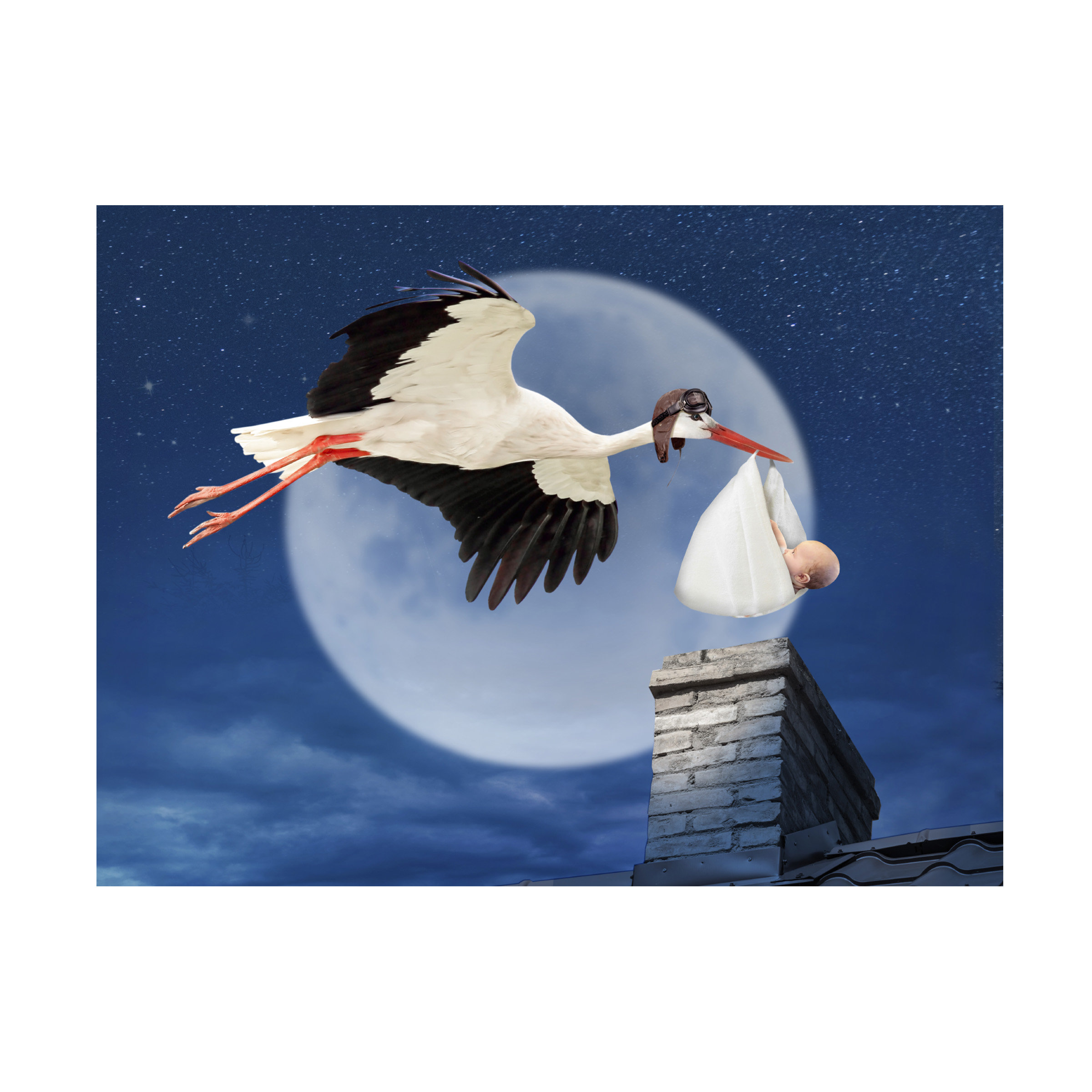 Highland Dunes Wrapped Canvas Wall Art - John Hovenstine 'Stork' Wall ...