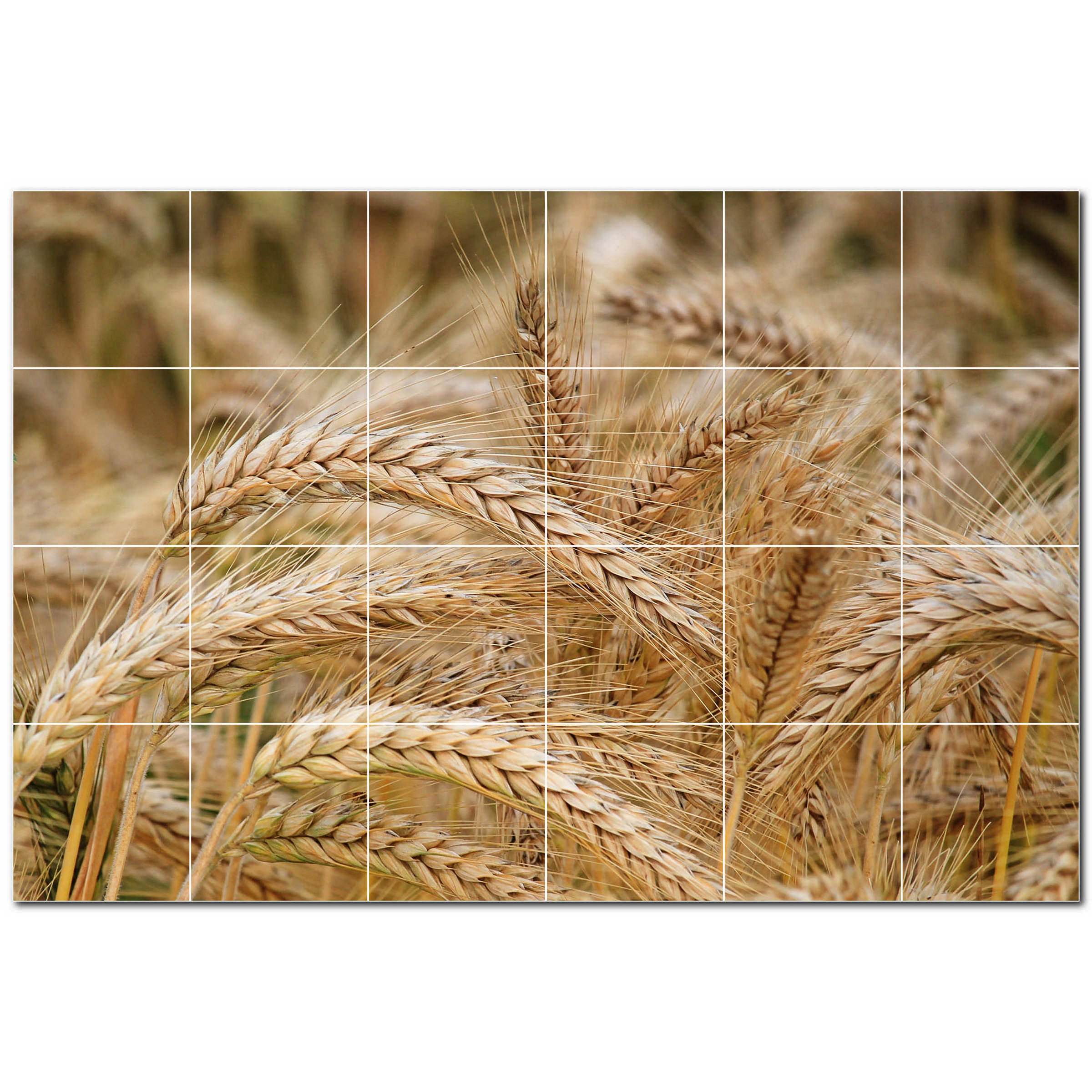 Picture-Tiles.com 48" x 32" Ceramic Farm Photo Decorative Mural Tile ...