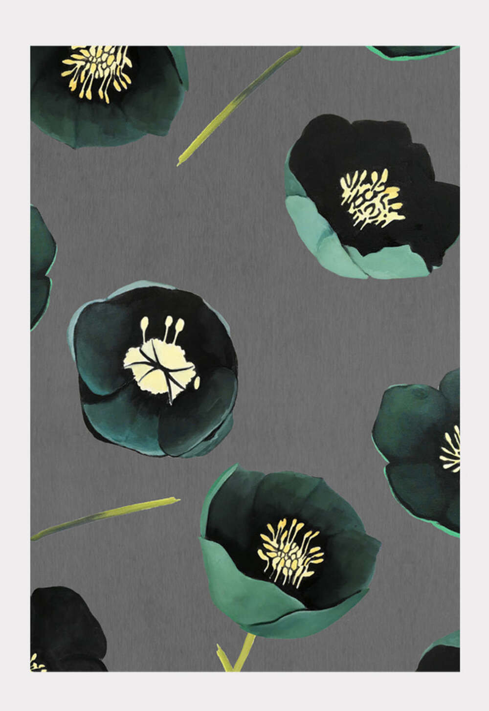 India & Purry Green Winter Rose on Charcoal by Jessica Hollander ...