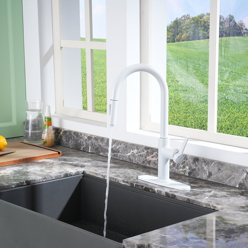 CASAINC 1.8 Flow Single-Handle Pull-Down Kitchen Faucet Single Hole ...