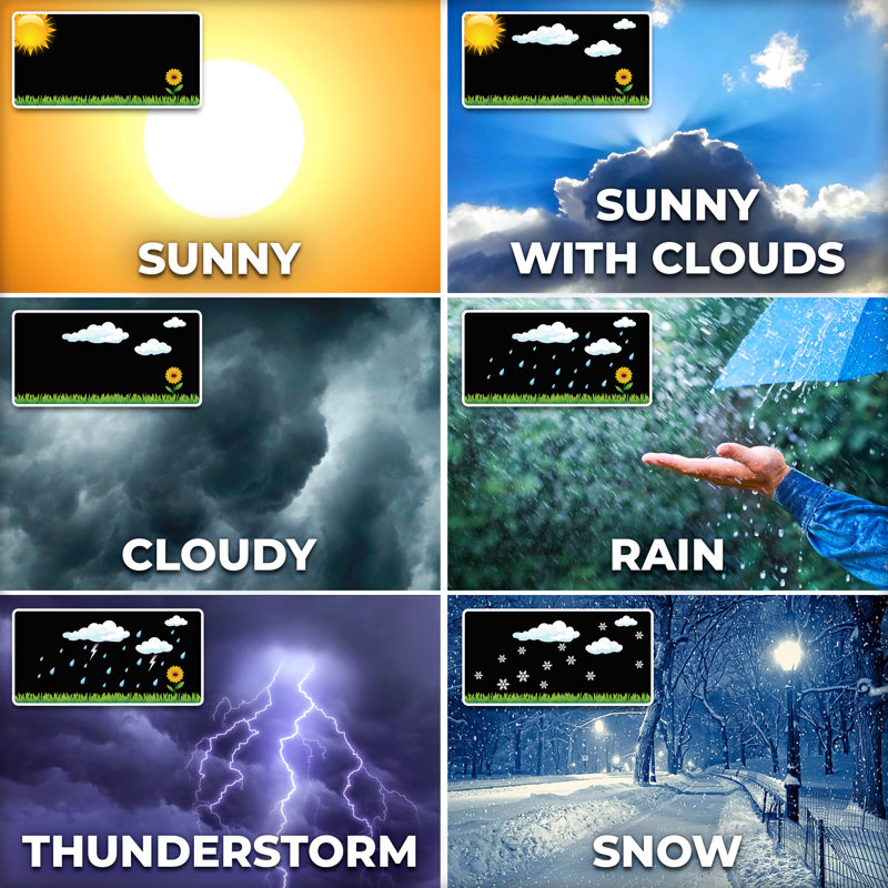 Sharp Digital Tabletop Weather Station Atomic Alarm Clock | Wayfair
