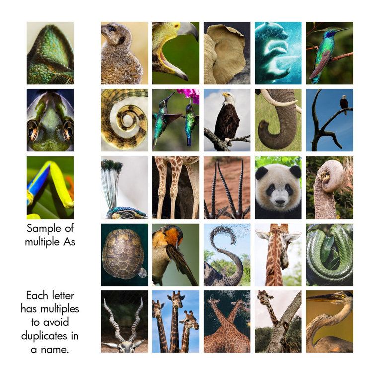 Latitude Run® Personalizaed Zoo Animal Name Art - Framed Canvas | Wayfair