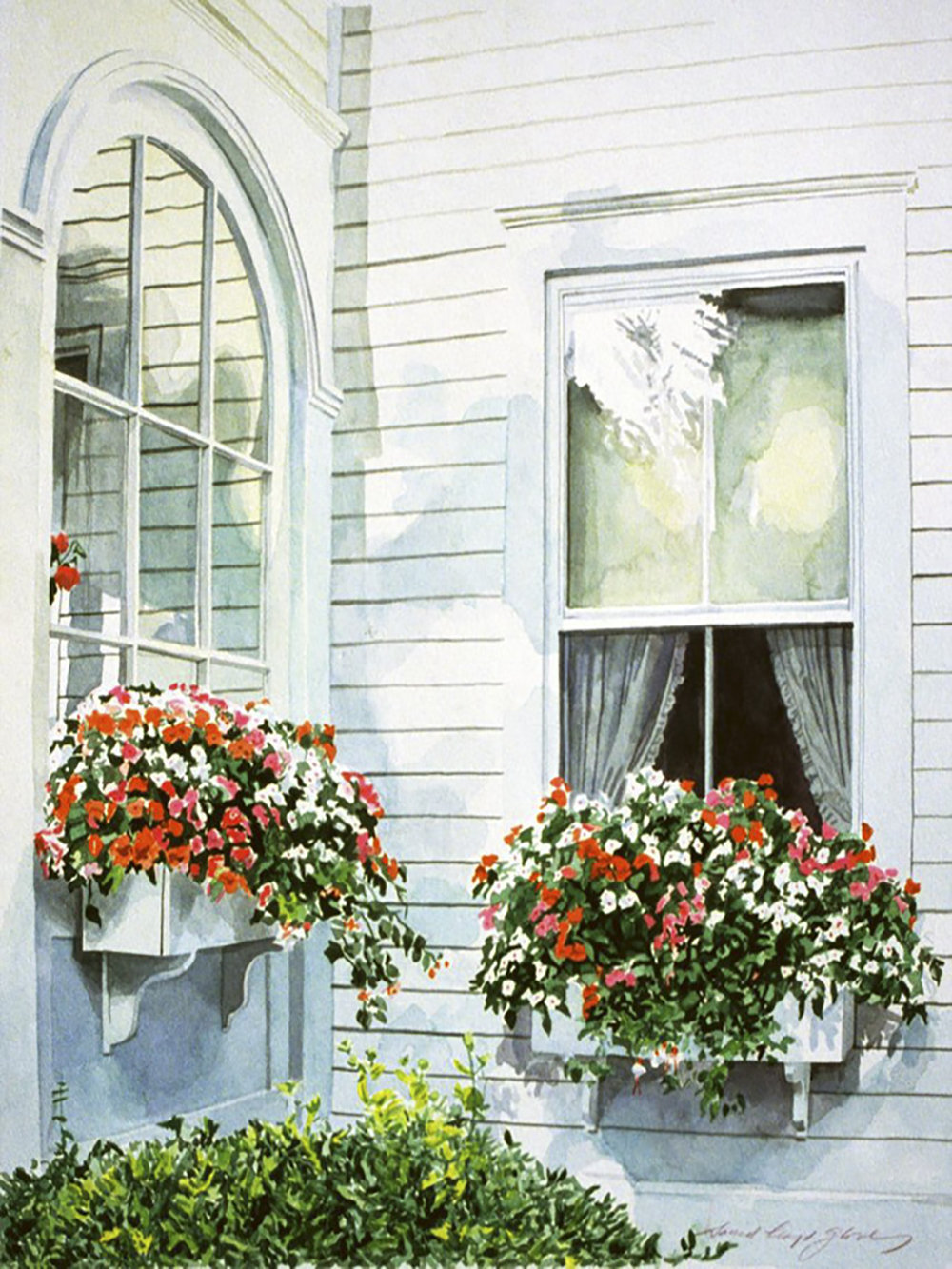 Buy Art For Less Main Line Art & Design "Floral Window Boxes" by David ...