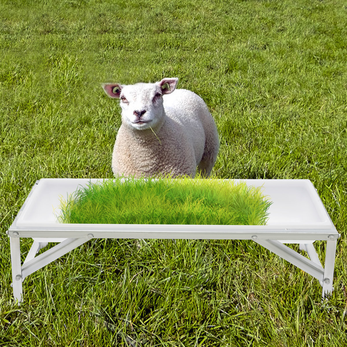 Tucker Murphy Pet™ Livestock Feed Trough Long Large Capacity Feeder ...