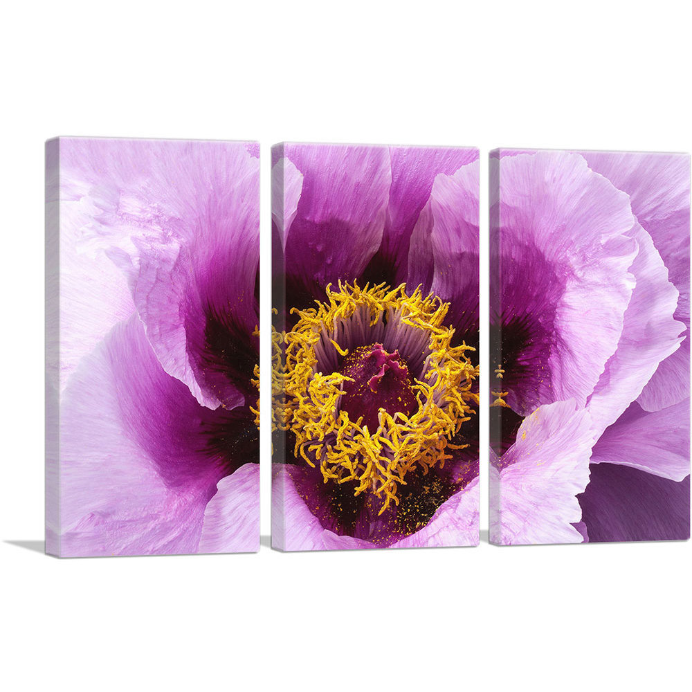 ARTCANVAS Peony Flower Home Decor Rectangle Canvas Art Print - Wayfair ...