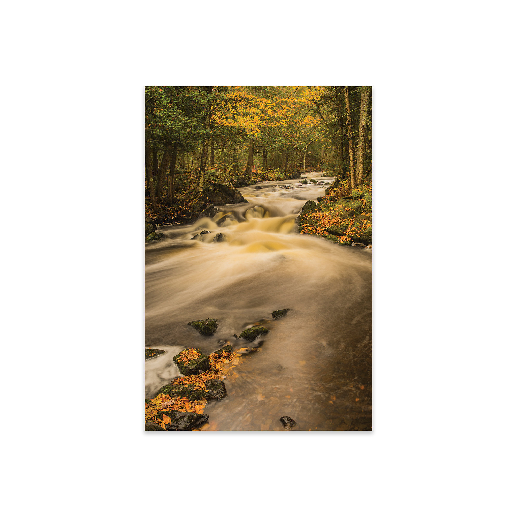 Millwood Pines USA, Michigan, Fall Colors, Stream On Plastic / Acrylic ...