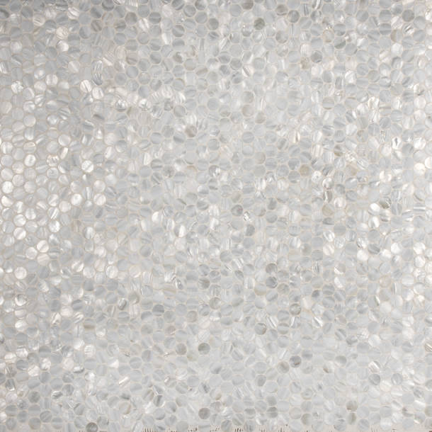 Matrix-Z SeaTile 0.5" x 1" Seashell Penny Round Mosaic Wall & Floor ...