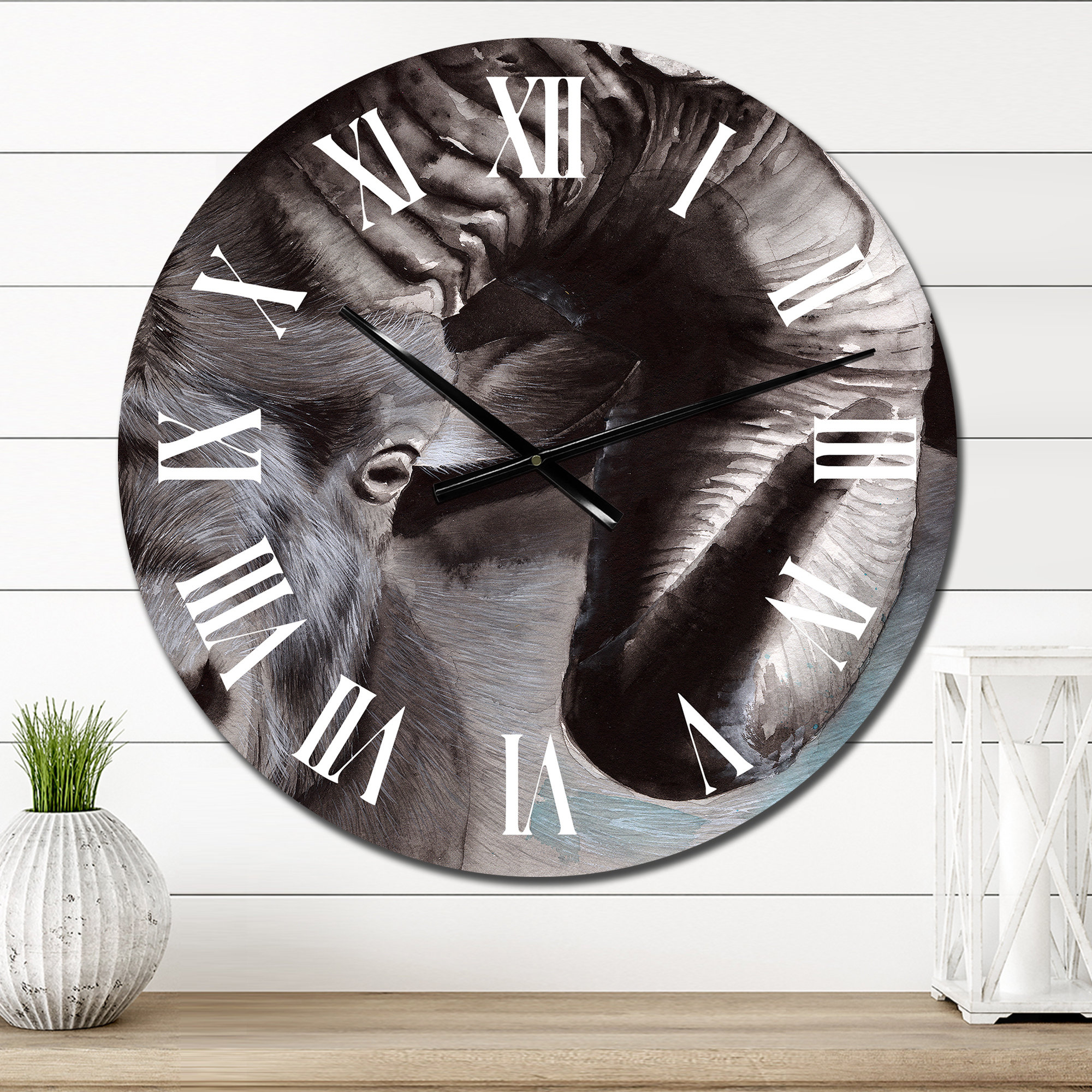 East Urban Home Portrait Of a Ram with Curled Horn - Nautical & Coastal ...