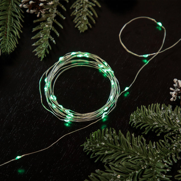 Battery Operated String Lights You'll Love