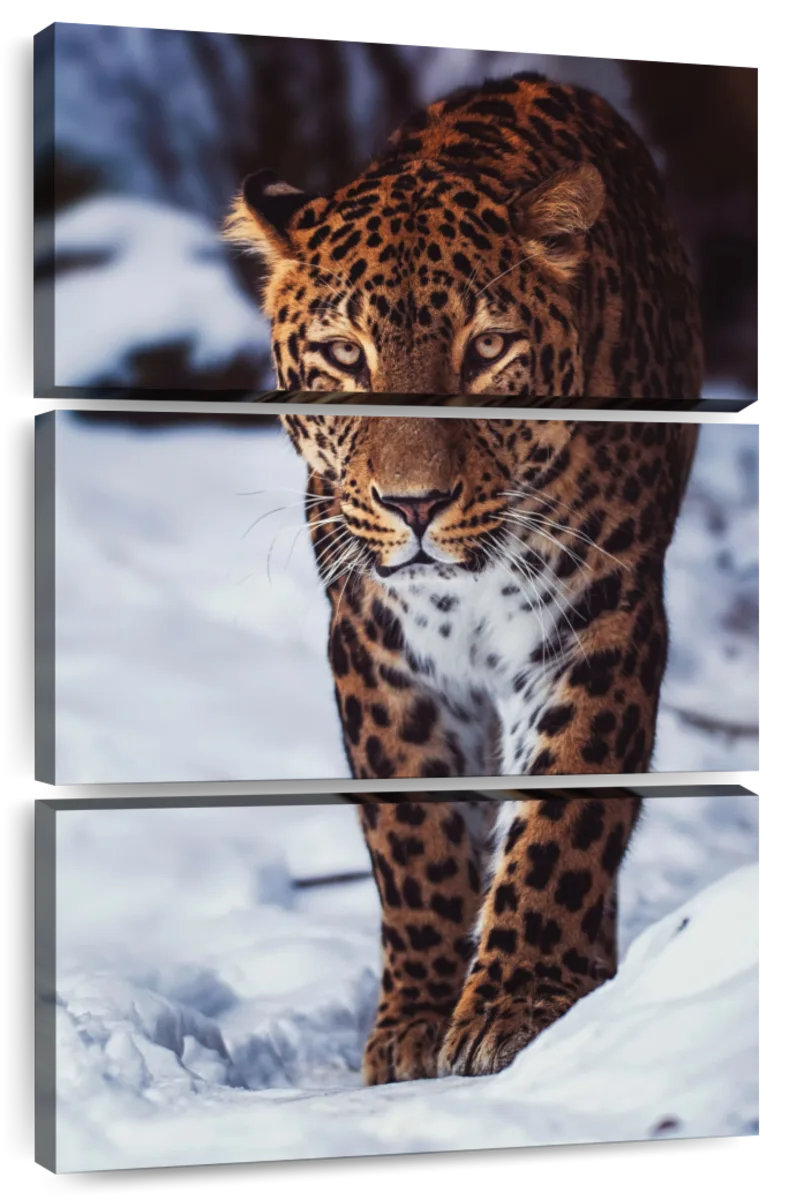 Ebern Designs Brampt Winter Leopard | Wayfair