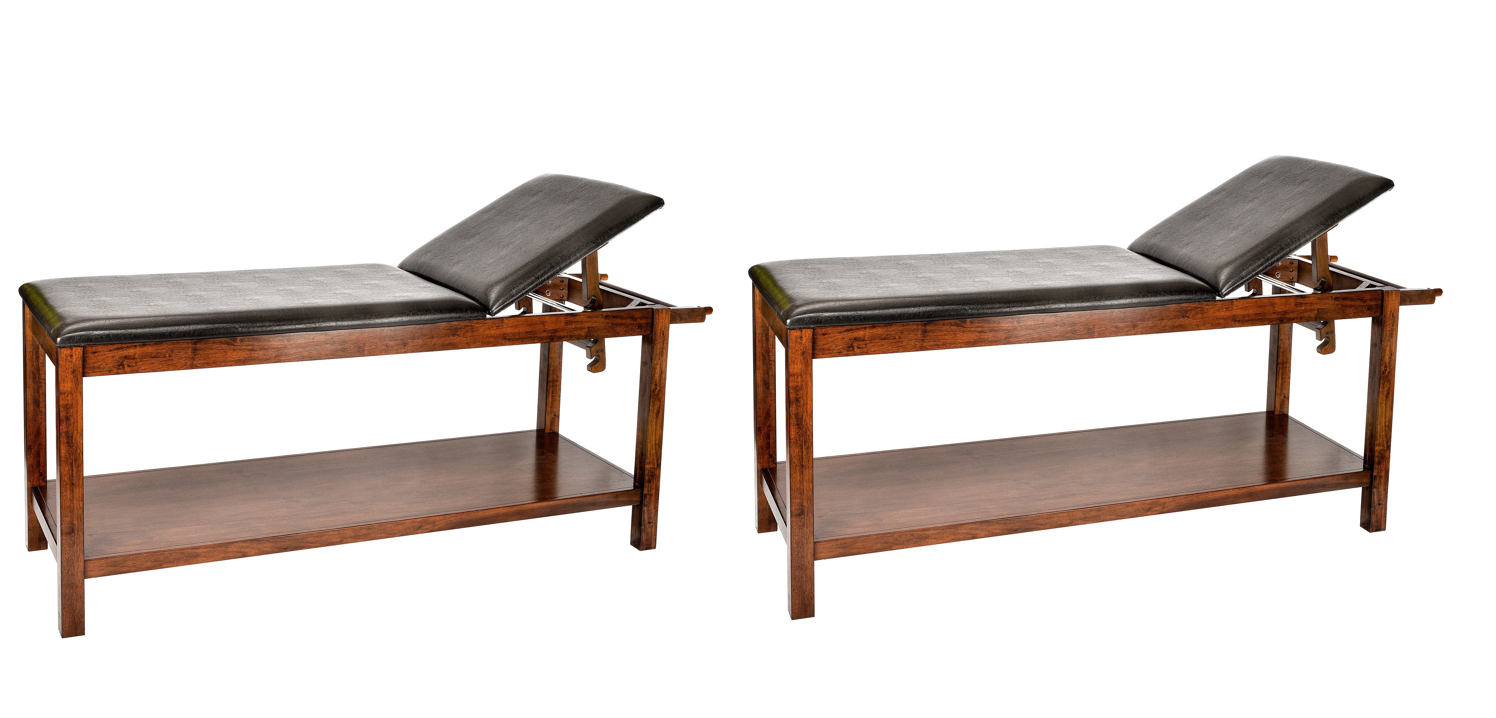 Viva Comfort Mahogany Wooden Exam Table with Full Shelf - Wayfair Canada