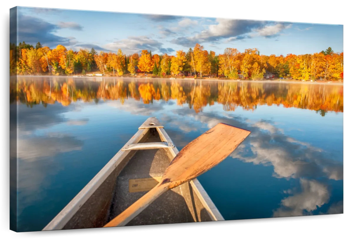 Elephant Stock Canoe Paddle - Wayfair Canada
