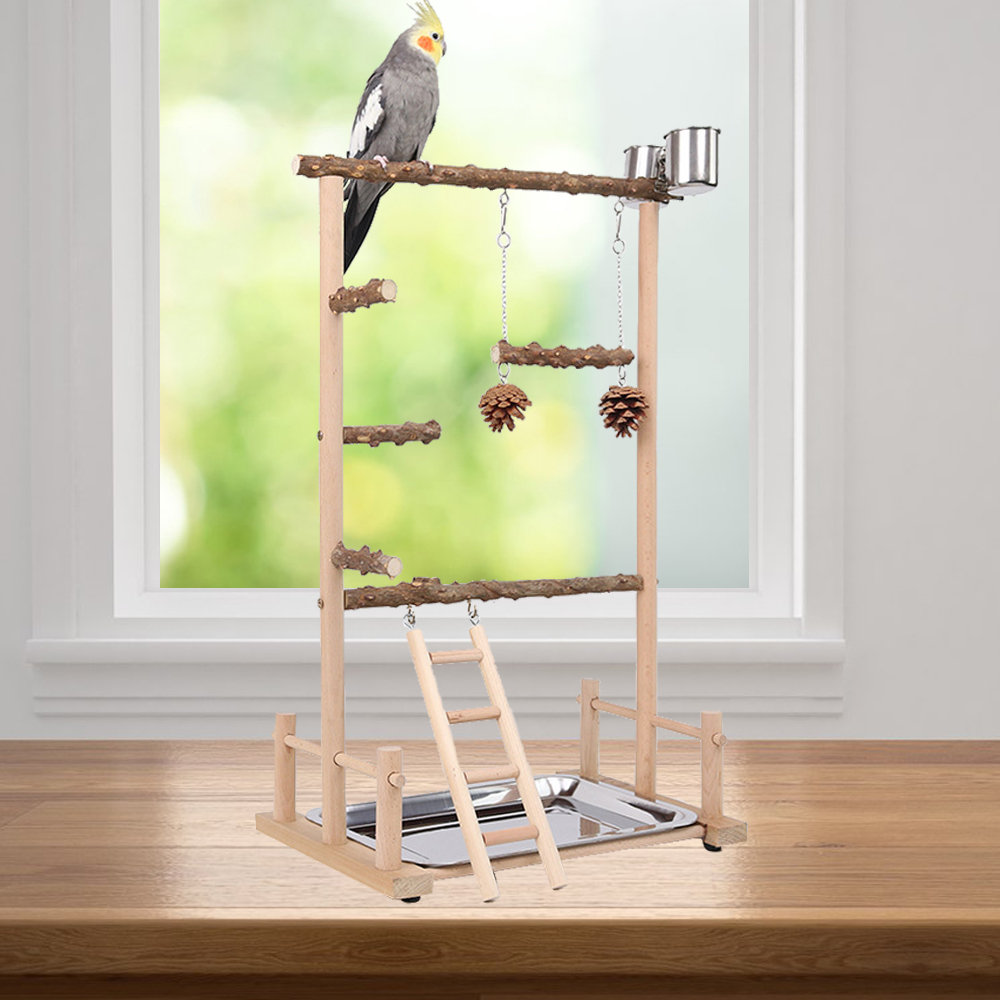 UMMA, LLC Bird Play Gym With Food Cup And Removable Tray - Wayfair Canada