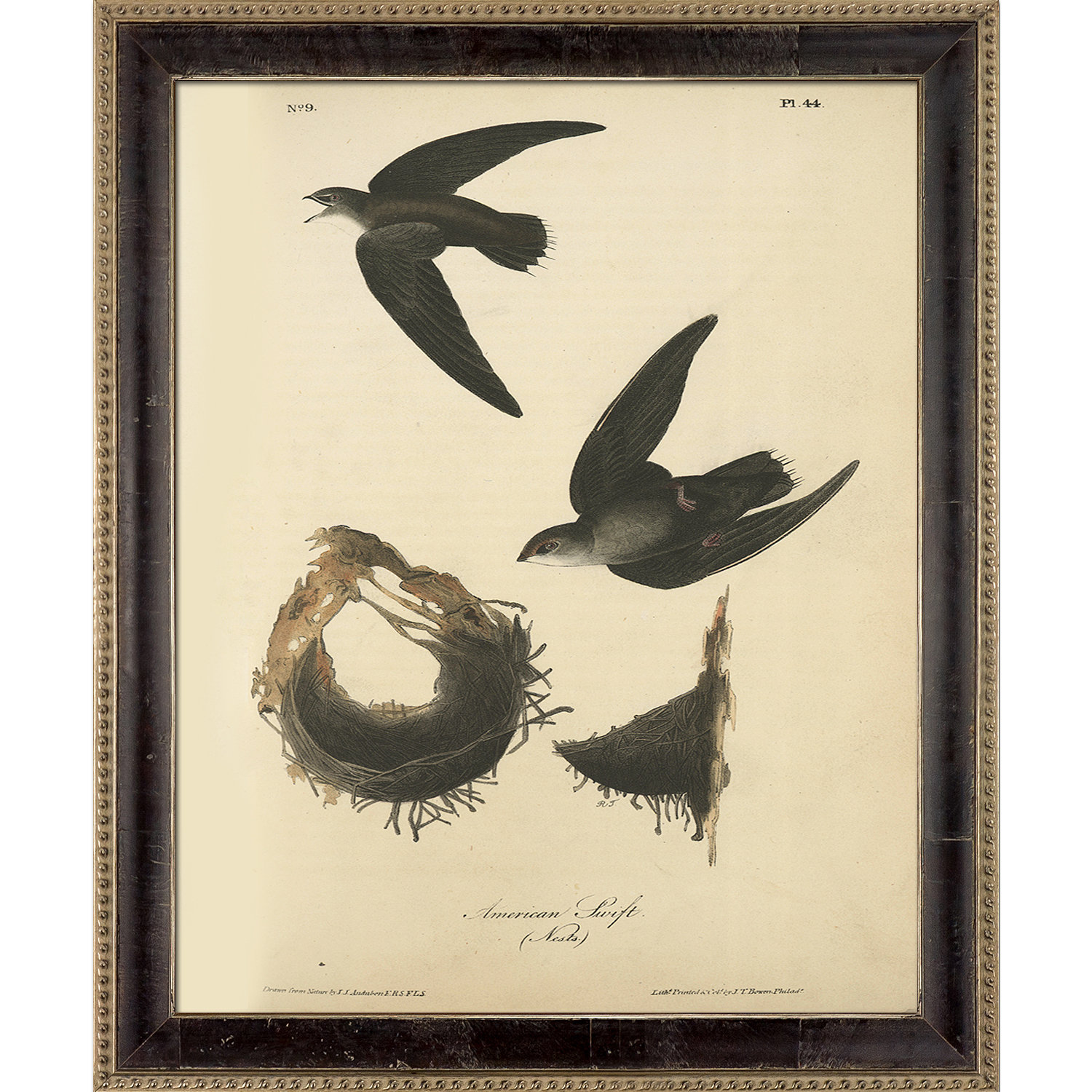 La Pastiche 'American Swift' - Picture Frame Painting on Canvas | Wayfair