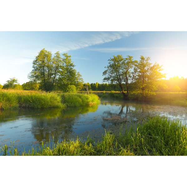 17 Stories Sunny Spring Landscape by Dimarik - Wrapped Canvas Print ...