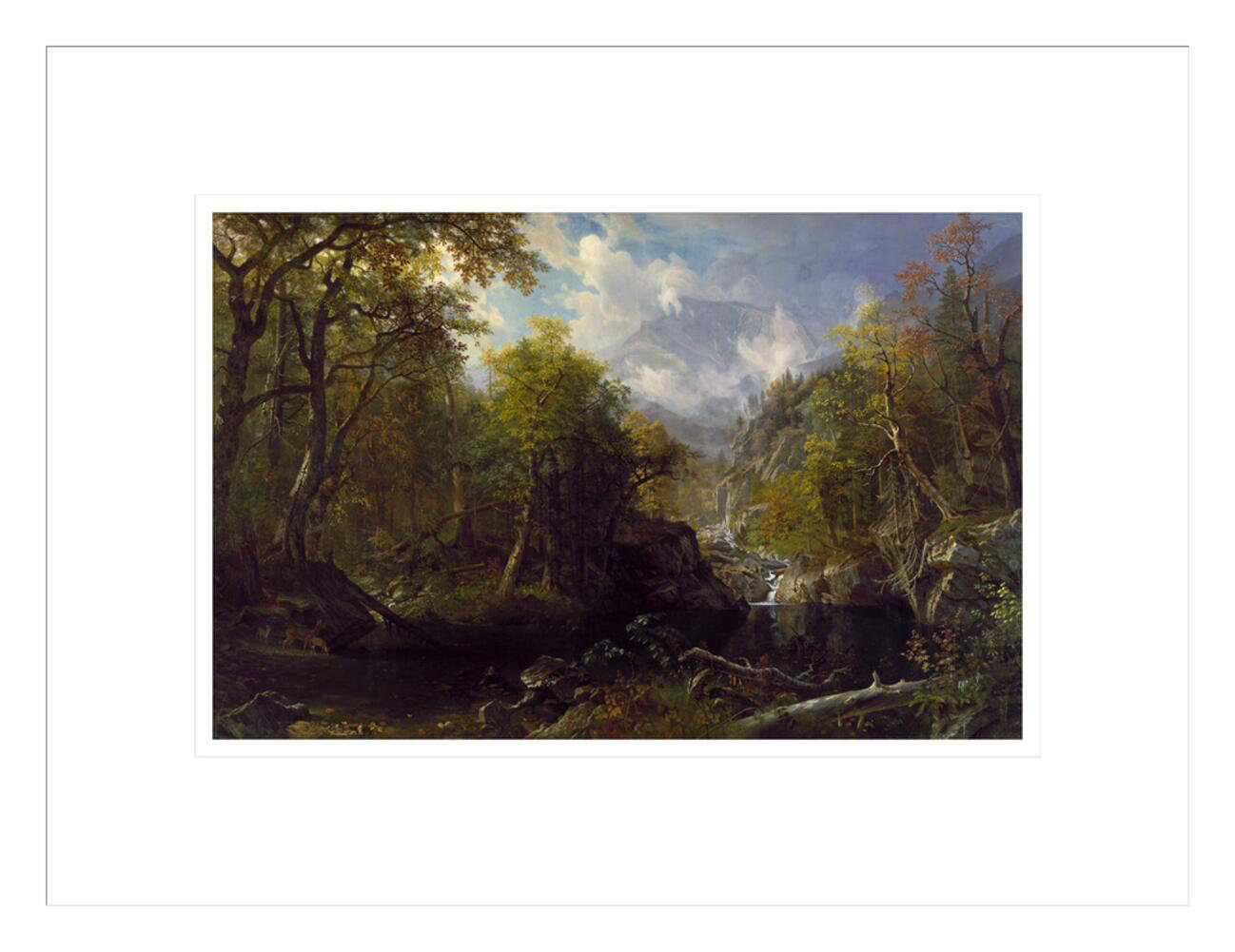 Canora Grey The Pool by Albert Bierstadt -Framed Giclee Print | Wayfair