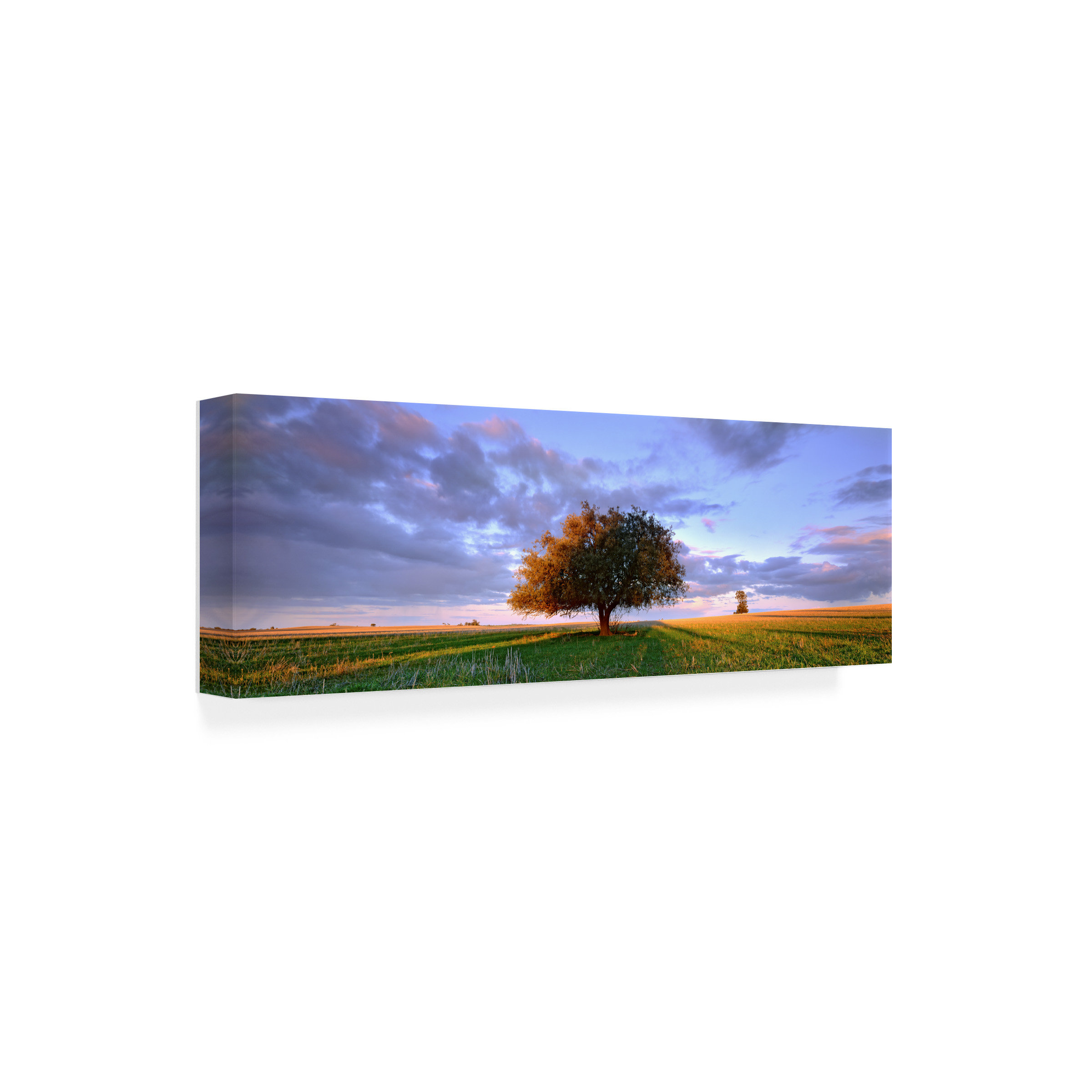 Ebern Designs Treescape by Wayne Bradbury Photography - Wrapped Canvas ...