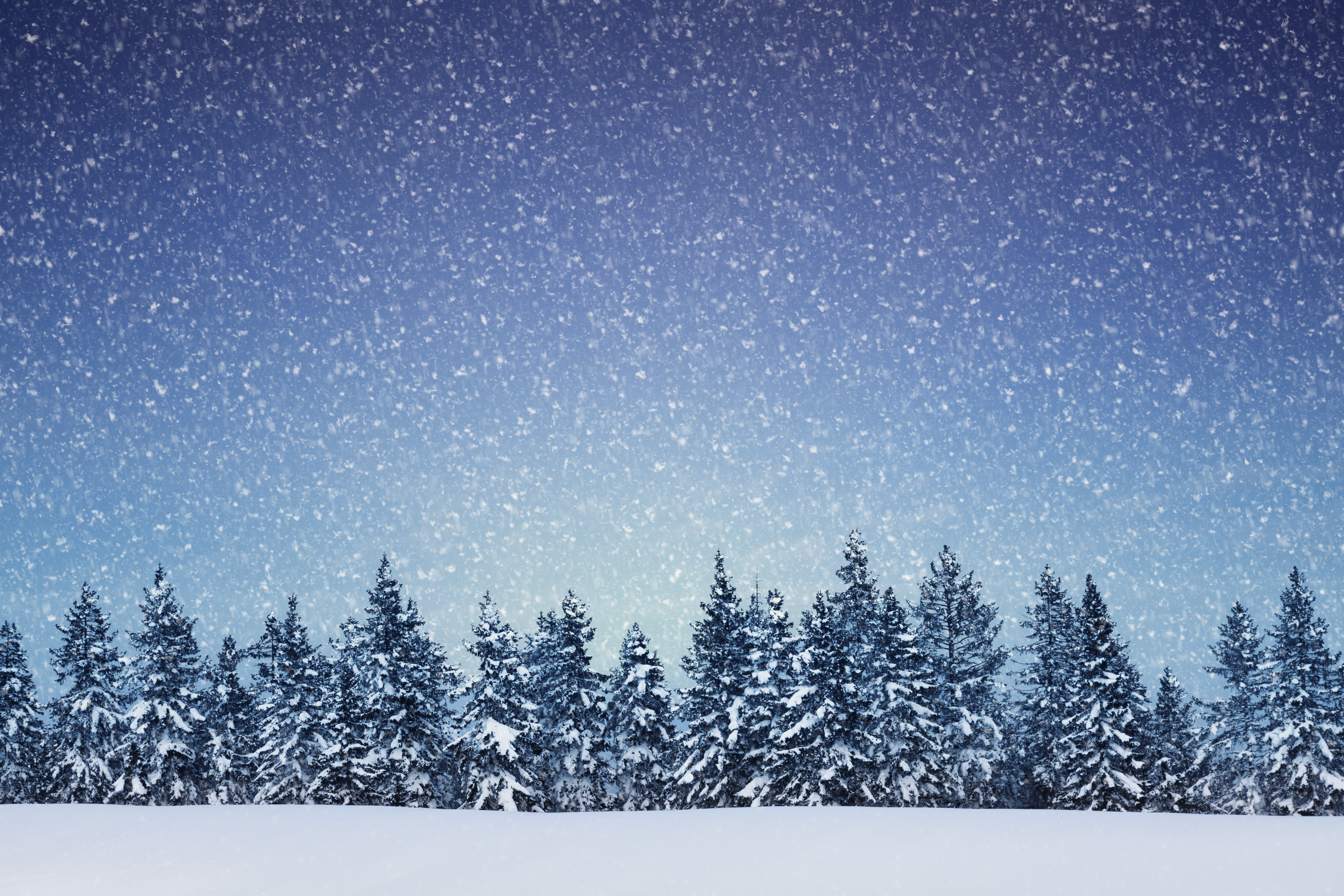 Millwood Pines Winter Landscape by Borchee | Wayfair