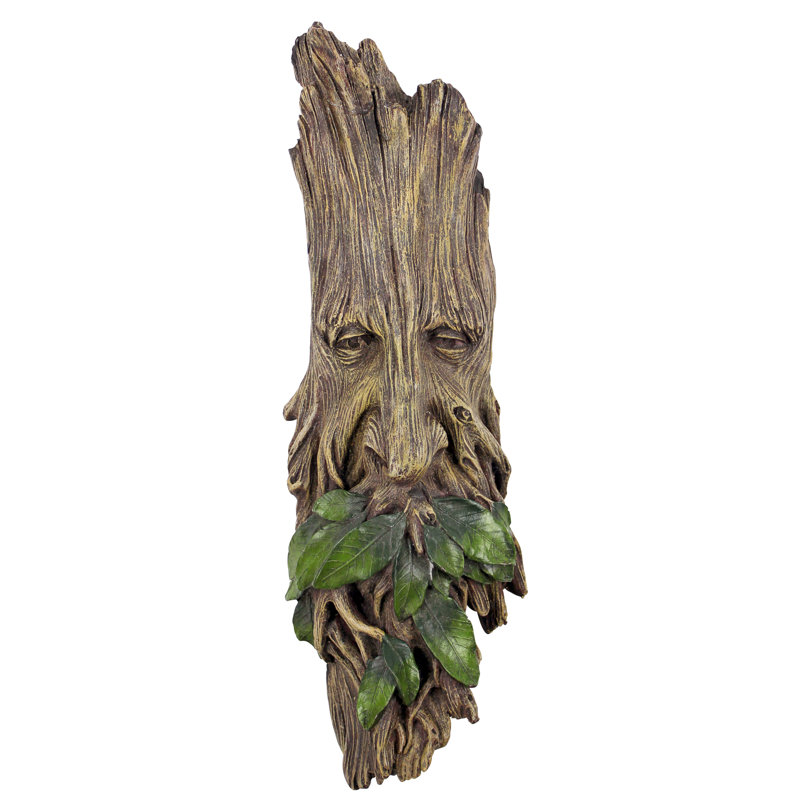 Design Toscano Faces In The Trees Tree Face Wall Decor & Reviews | Wayfair