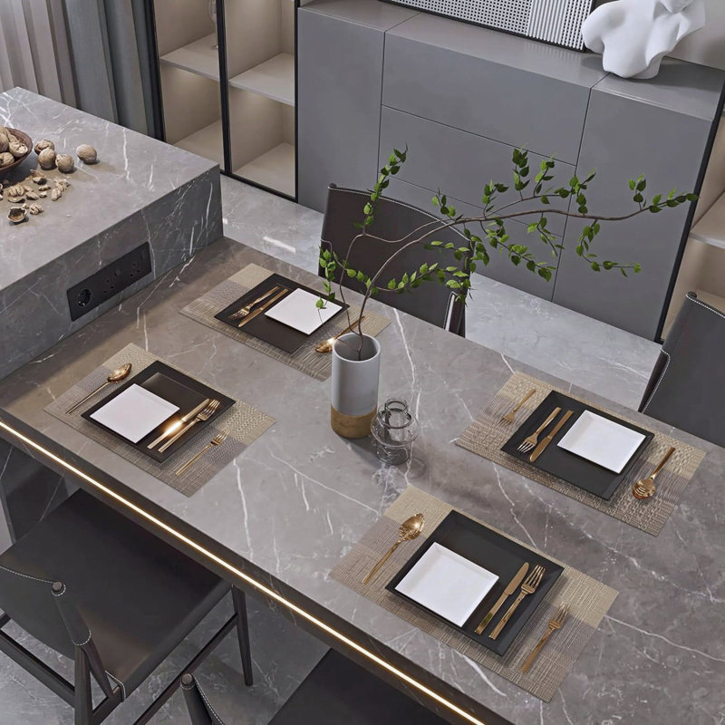 OLVOK Champagne Modern Placemats Set Of 6 | Wayfair