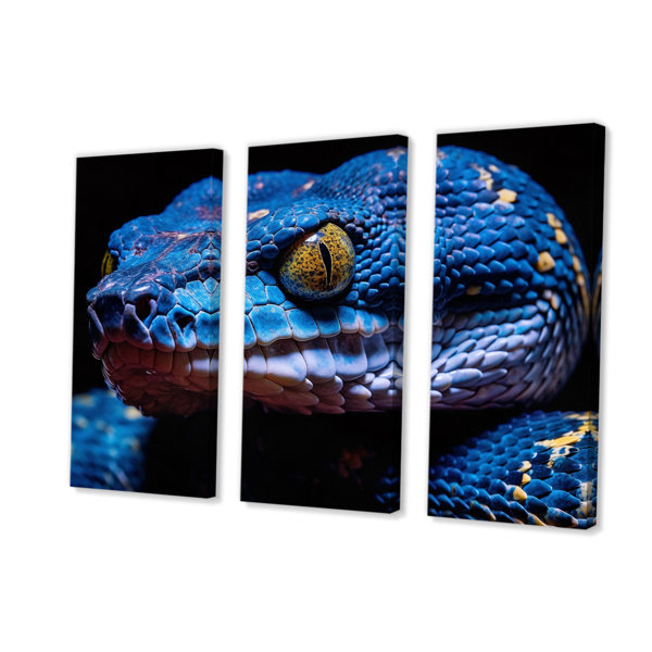 Latitude Run® Blue Anaconda Snake Wildlife Photography - Animals Snake ...