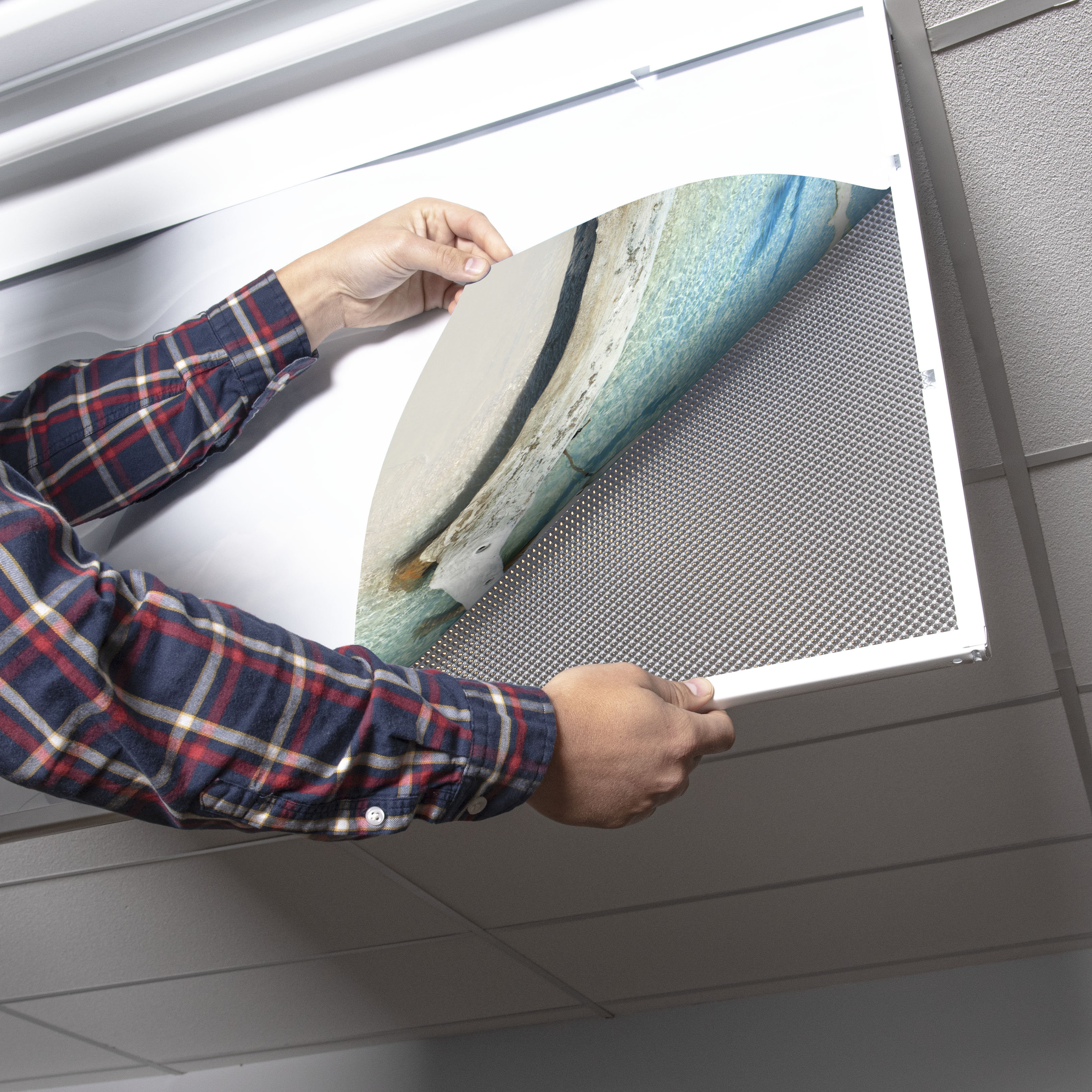 Octo Lights Beach Flexible Decorative Light Cover | Wayfair