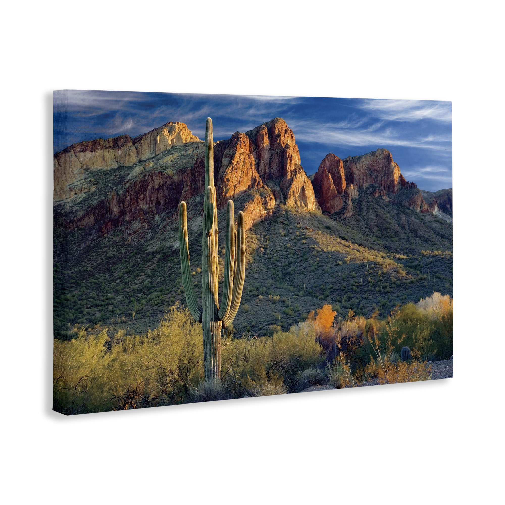 Union Rustic Found You Cactus in Canyon Canvas, design by Mike Jones ...